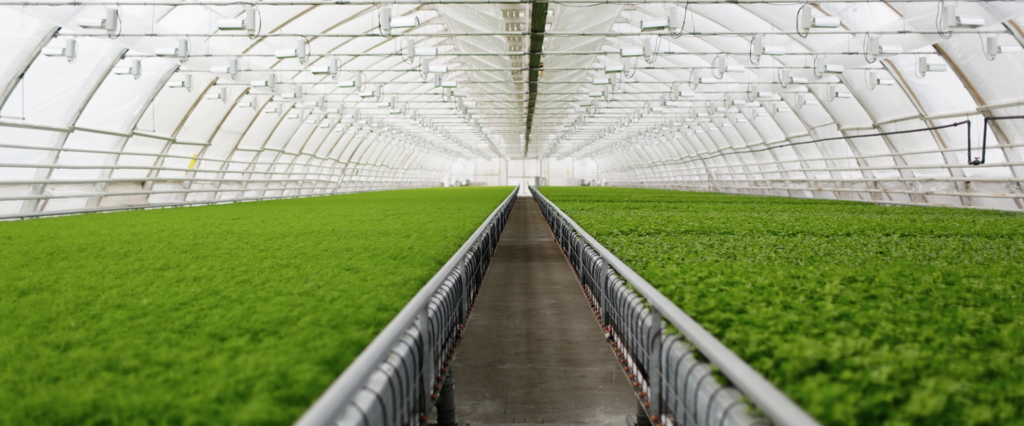 Виставки — Agrid